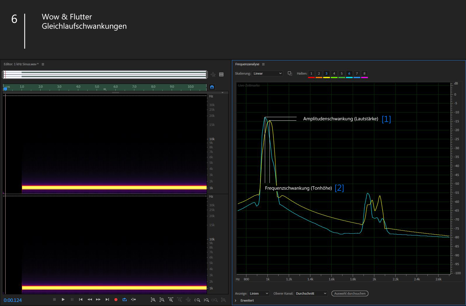 Bild 21 1kHz Wow and Flutter - B&W Group (Schweiz)